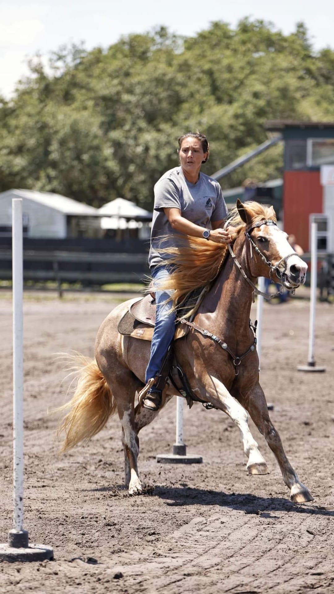 Photography at the State Championship – Sunshine State Mounted Drill ...